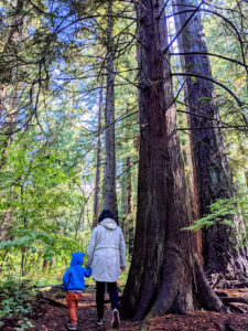 SPARC BC - The Social Planning and Research Council of B.C.